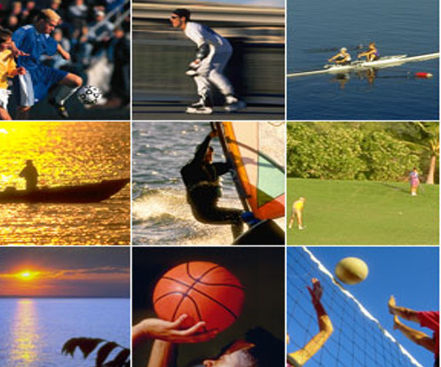 Microgaming Sports for Healthy Environment